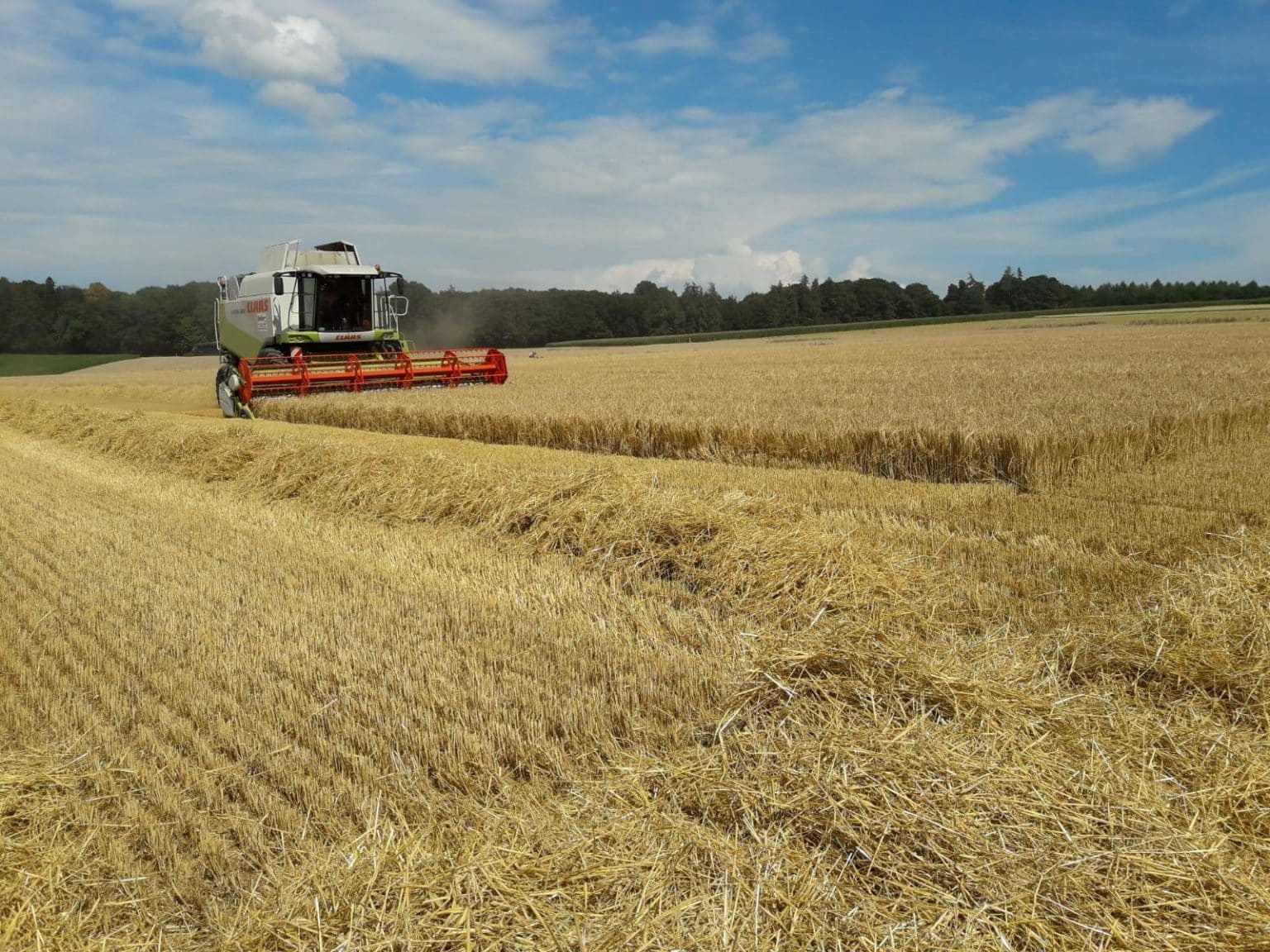 Getreideernte - Oberland Gruppe Hochdorf